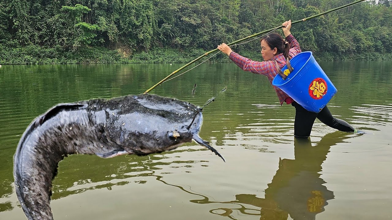 Traditional fishing techniques - Single mother risks catching giant ...