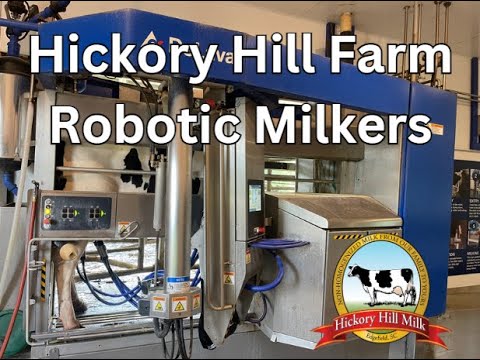 How Does a Robot Milk a Cow? Here's How! - YouTube