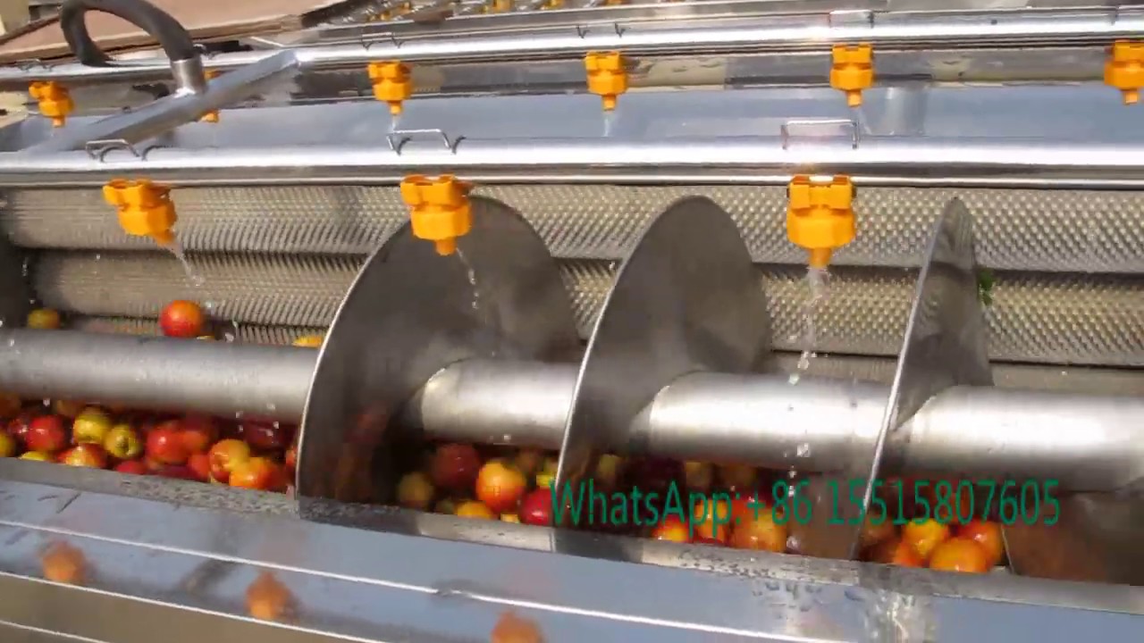 Multifunction peach palm fruit and vegetable washing cleaning machine ...