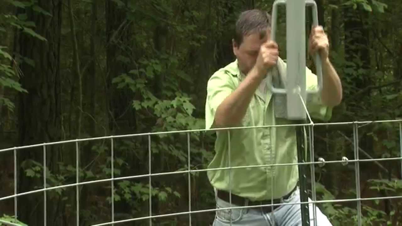 Wild Pigs: How To Build A Corral Trap - YouTube