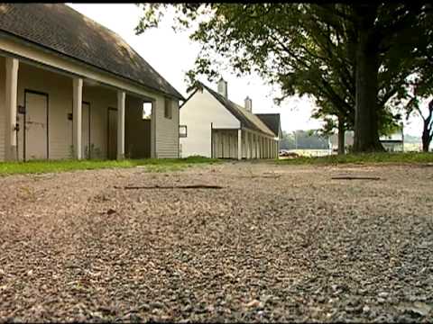 VFBF Announces State Fair Partnership - YouTube