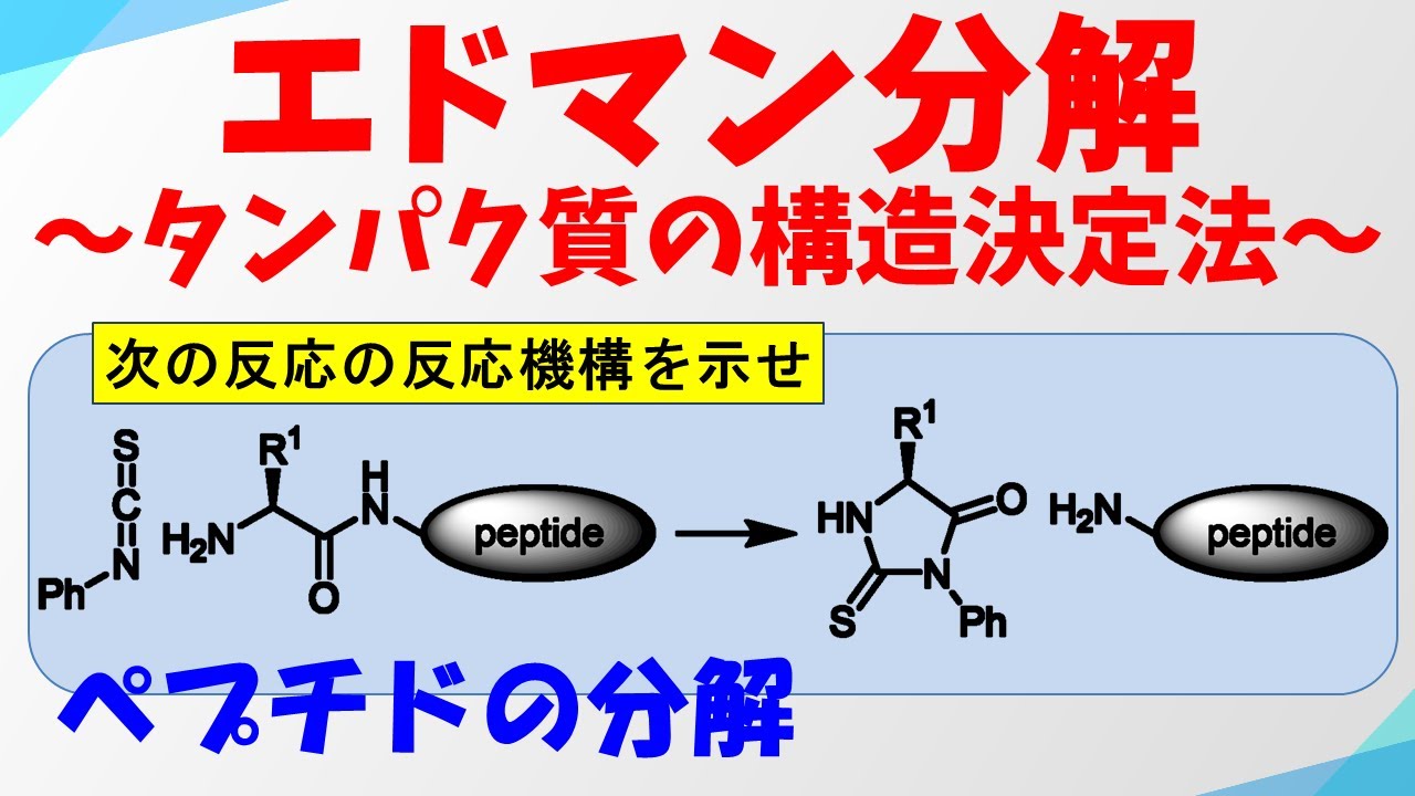 エドマン分解(Edman Degradation)の反応機構【タンパク質・ペプチドの構造決定法】 - YouTube