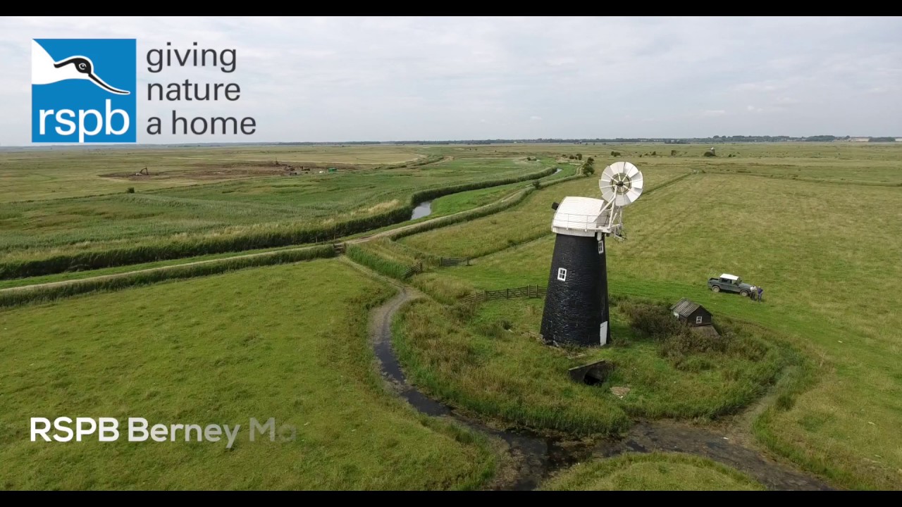 RSPB Berney Marshes: water for wildlife - YouTube
