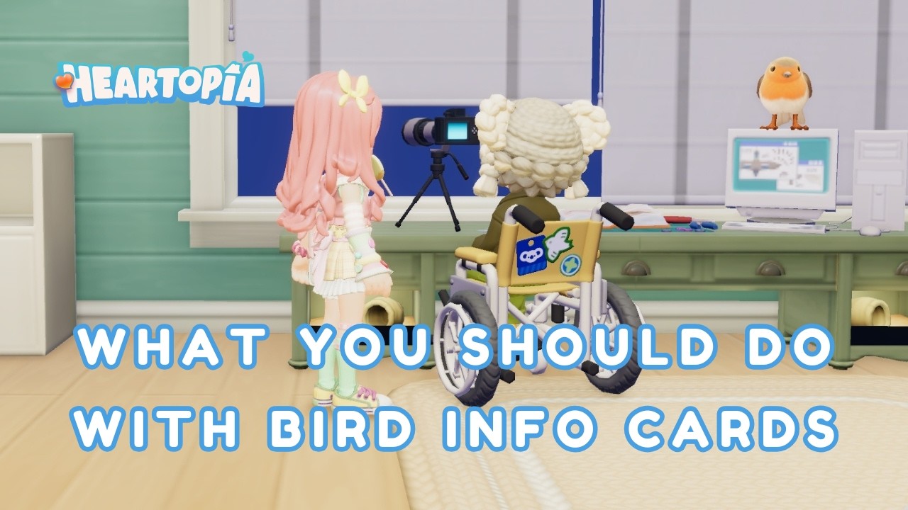 What You SHOULD Do With Bird Info Cards 🦜⭐ | Heartopia Guide - YouTube