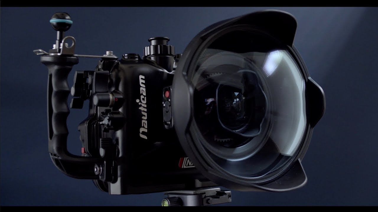 The best 7 video cameras of 2020 - YouTube