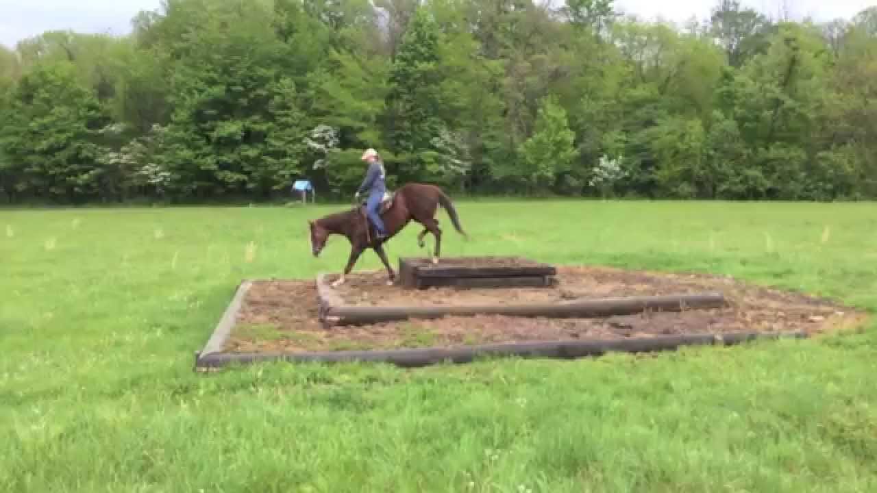 Rosebud Knox County Horse Park - YouTube