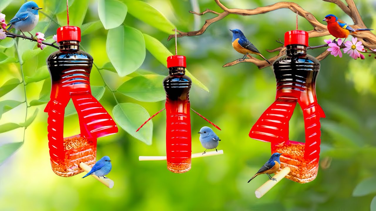Bird feeder from plastic bottle |Bird feeder craft ideas|garden decor ...