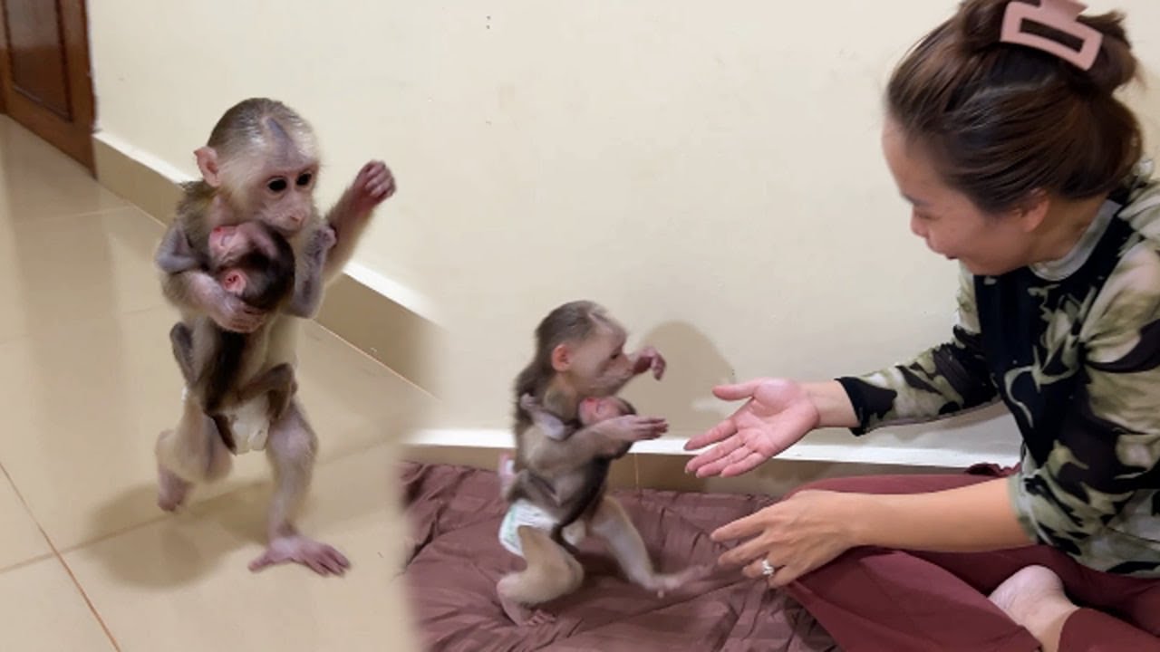 Pavpav Proudly Carry Newborn Baby Run Fast Go For Mom - YouTube