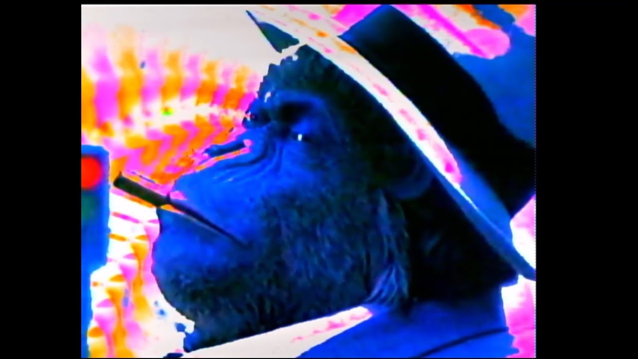 Red Vox: Winning The Most (Music Video) - YouTube