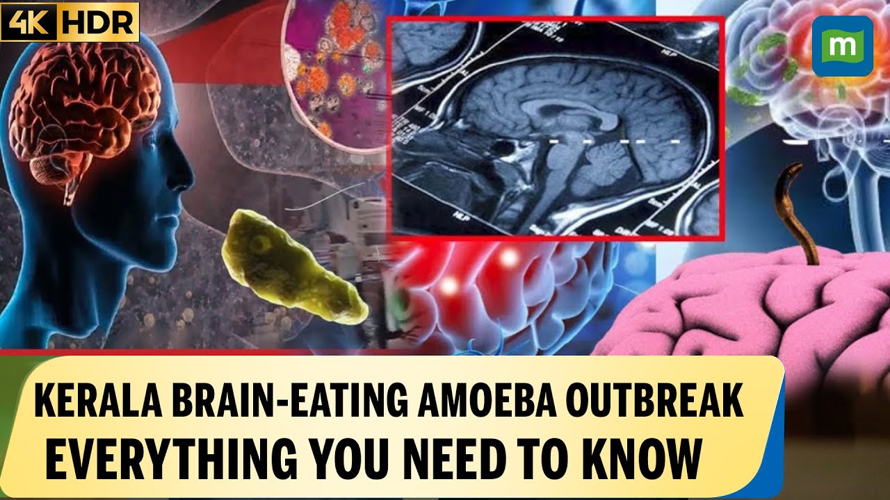 Brain-Eating Amoeba Explained | Symptoms, Spread & How to Stay Safe ...