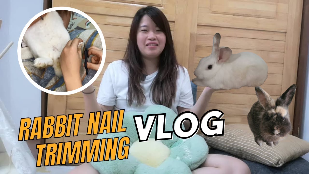 Safe and Easy Rabbit Nail Trimming: Essential Guides for Pet Owners ...