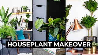 The Best House Plants For A Home Office