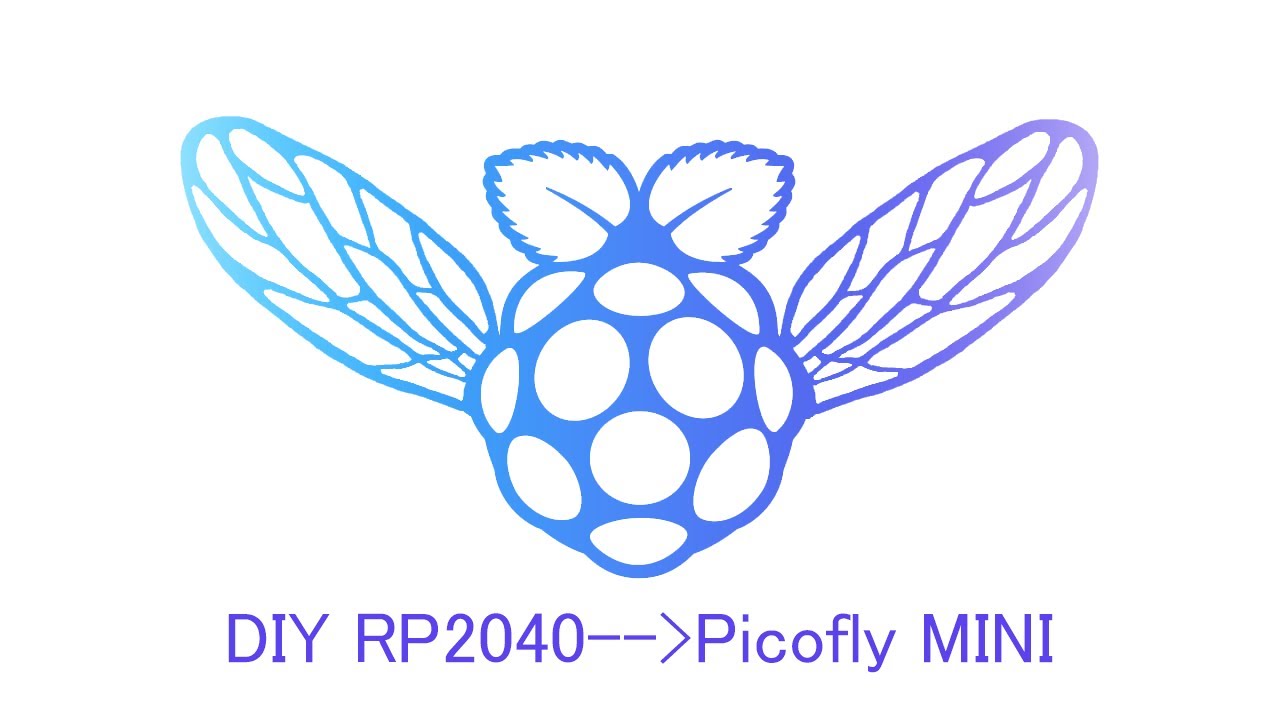 How to DIY your Raspberry PI RP2040,PICOFLY-MINI - YouTube