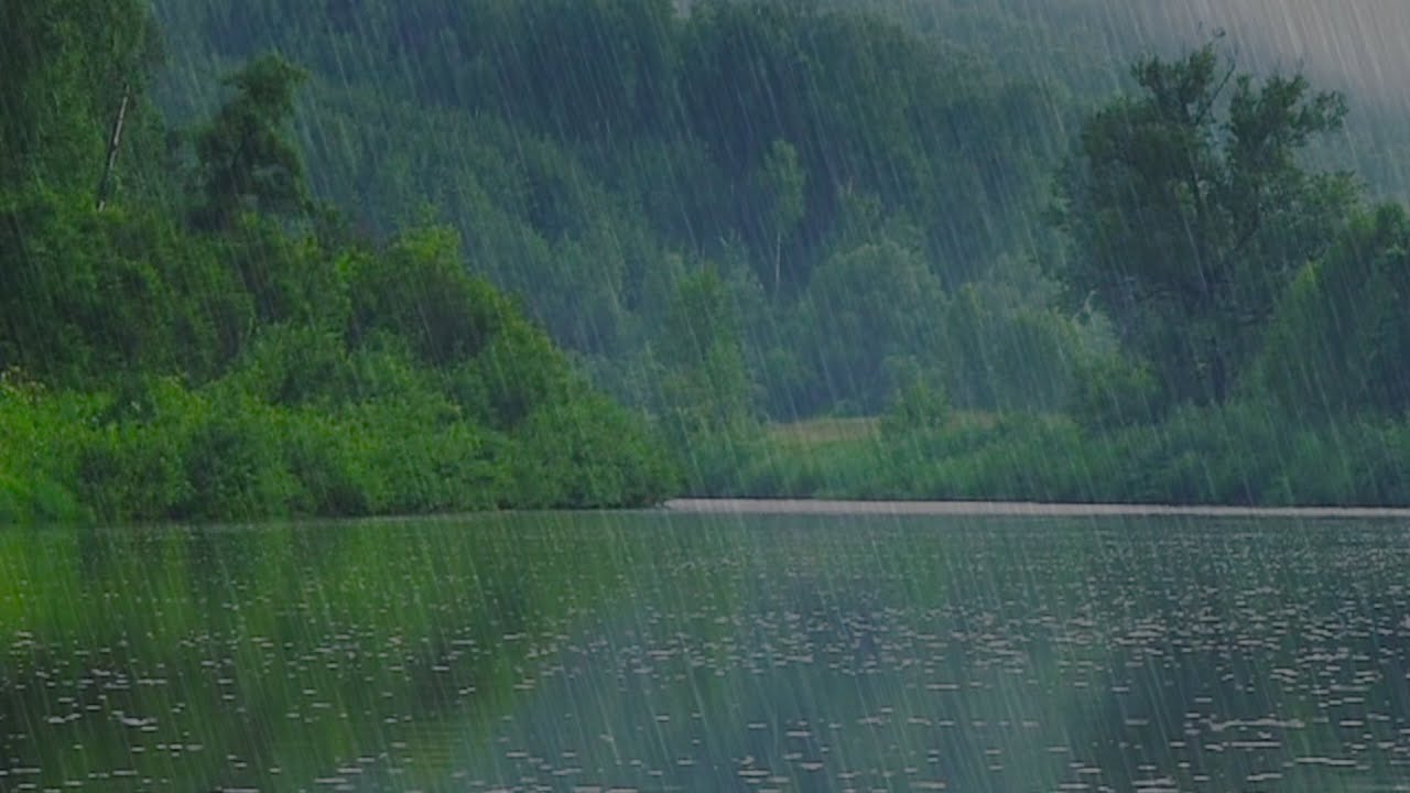 Forest River Rain Sounds for Sleeping, Meditation and Studying 🌧️ 10 ...
