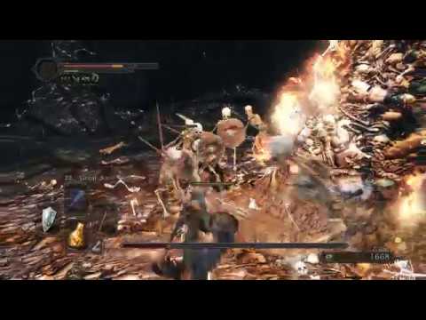Dark Souls 2 SotFS - Huntsman Copse - Skeleton Lords Boss 1080P 60 FPS ...