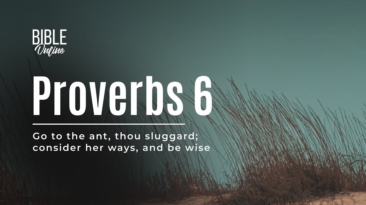 Holy Bible. Proverbs 6 - Go to the ant, thou sluggard; consider her ...