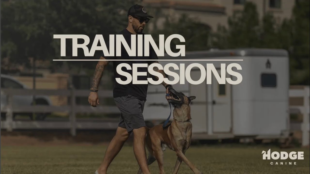 Rooster | Training Sessions – Place - YouTube