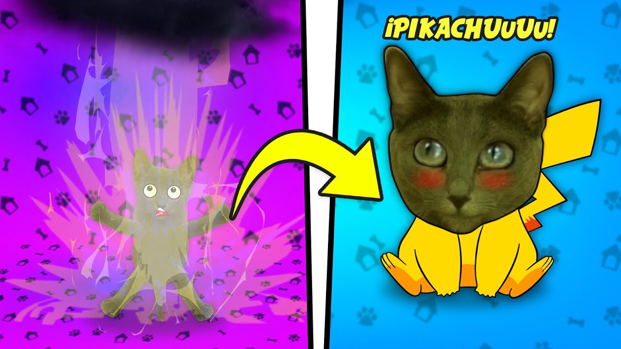 A MI GATO LE CAE UN RAYO Y SE CONVIERTE EN PIKACHU EN LA VIDA REAL !! ⚡ ...