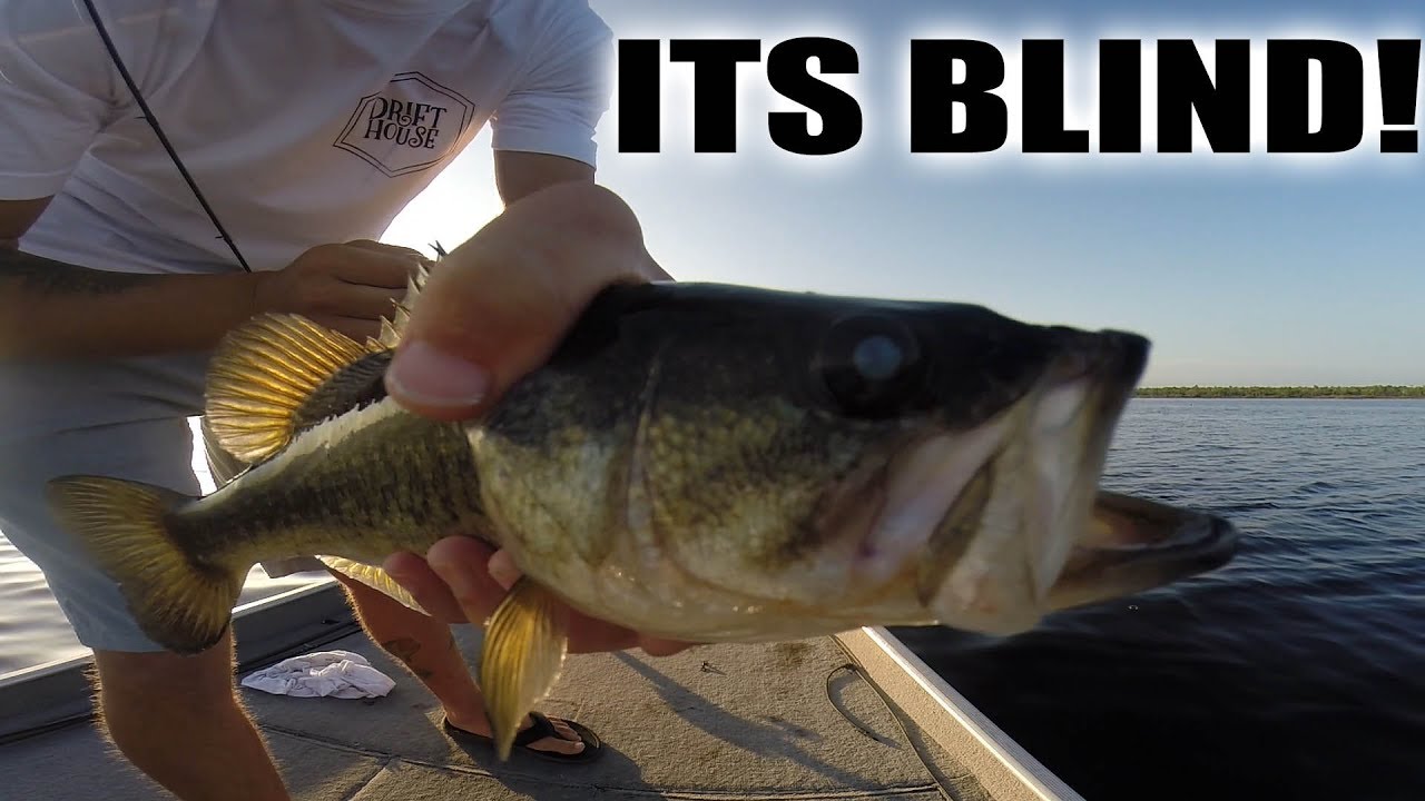 Catching Some Messed Up Bass! - YouTube