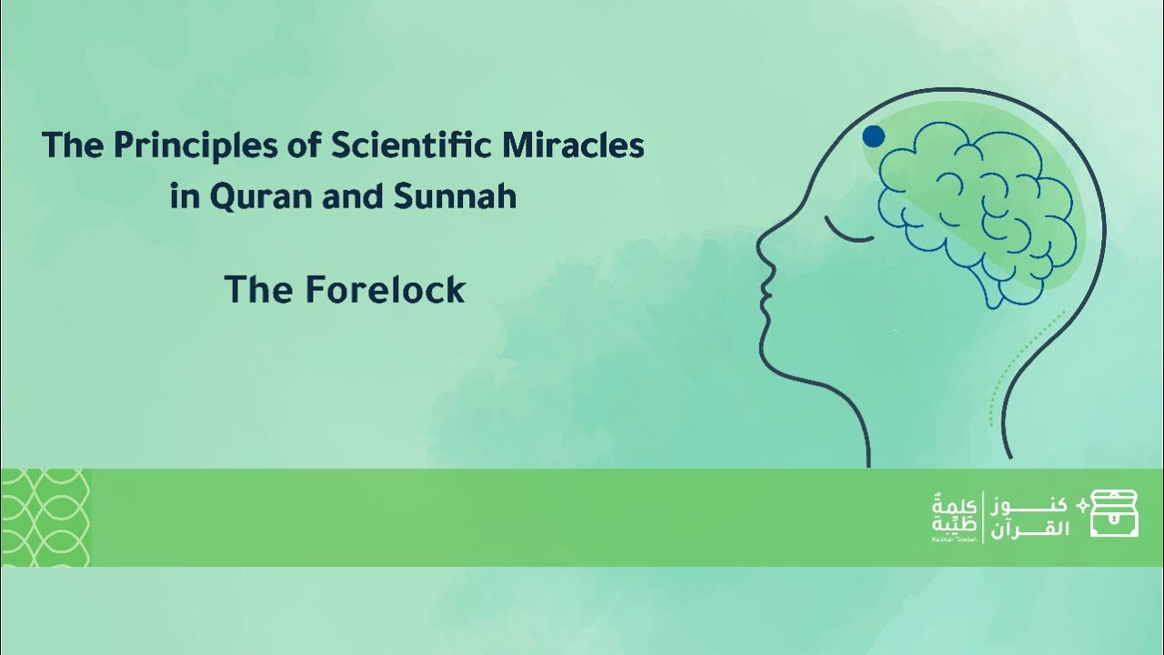 The Forelock - YouTube