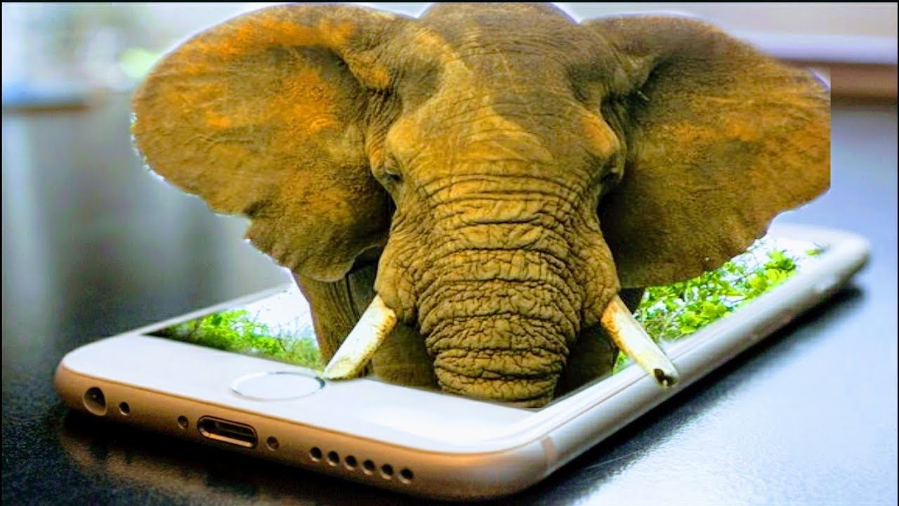 How to make African elephant 3d image in PicsArt - YouTube