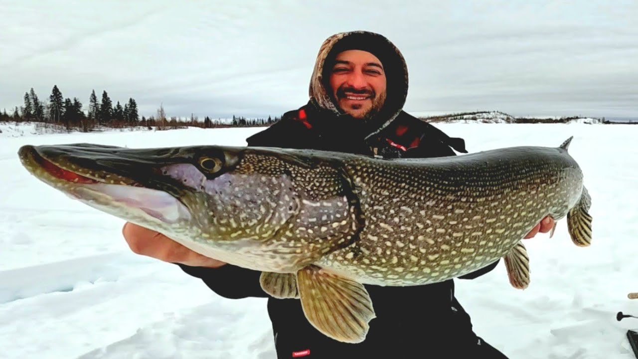 Let The Fish Choose What BAIT is The Best! #Testing (Took My Boss ...