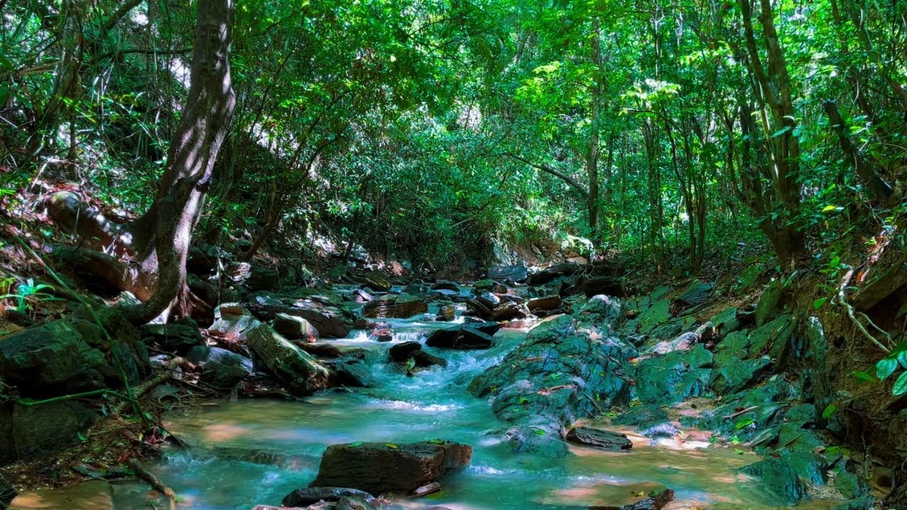 Nature’s Whisper – Flowing Stream for Mindful Meditation & Rest - YouTube