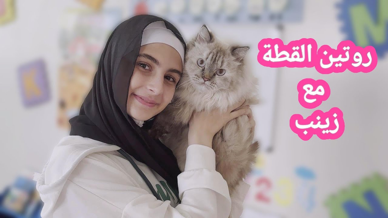 روتين القطة مع زينب - كيف أعتني بها ؟ Cat routine - Zeinab / Hussein ...