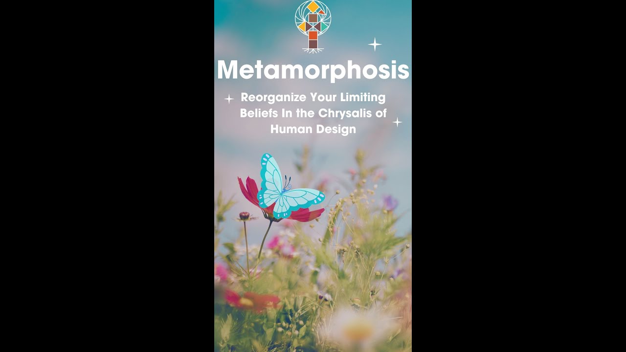 Metamorphosis: Human Design Coaching Program- Testimonial of Robert ...