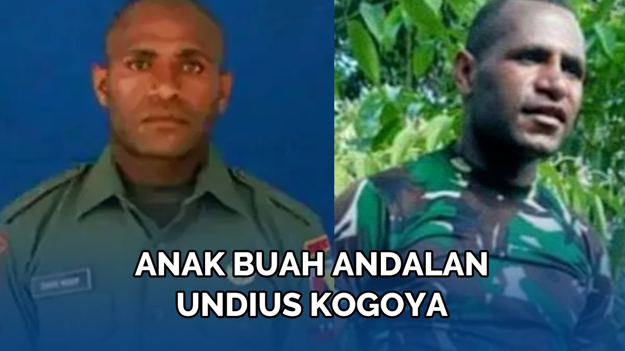 ANDALAN UNDIUS KOGOYA Gembong OPM Ditembak Mati, Kekuatan KKB Berkurang ...