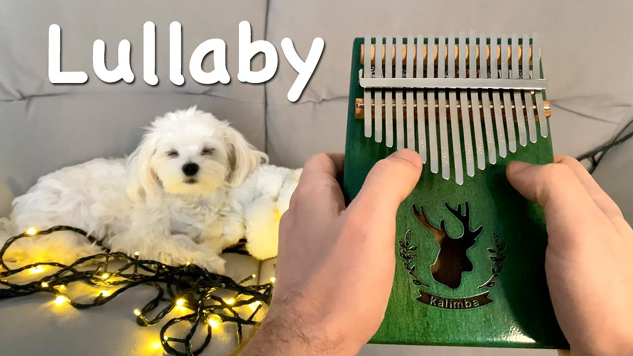 Lullaby for dog on a Kalimba - YouTube