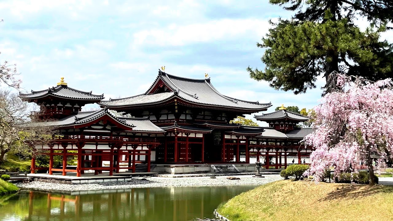 Kyoto Uji Spring SAKURA 京都 宇治 春 - YouTube