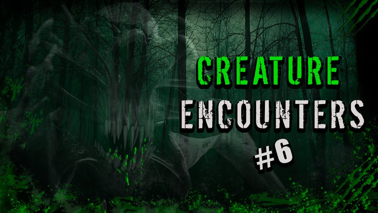 (3) Creepy Stories Submitted by Subscribers | Creature Encounters #6 ...