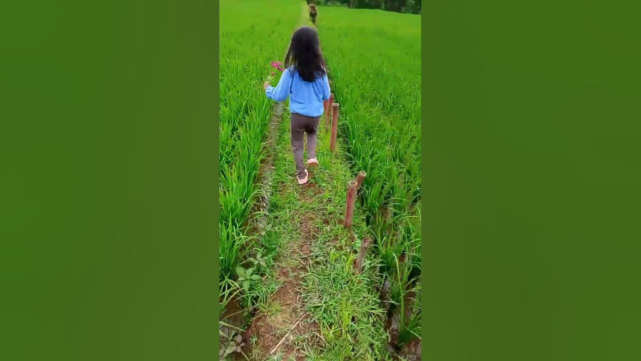 Indahnya Desaku ,..Nuha jalan jalan ke sawah - YouTube