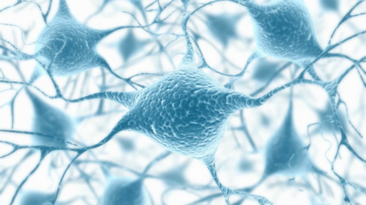 mBraining - Coaching the Head, Heart and Gut Brains - YouTube