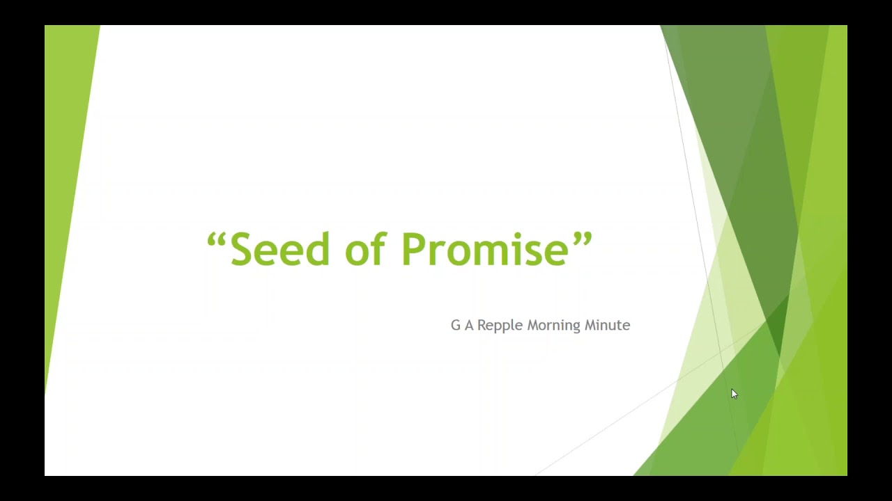 Seed of Promise - YouTube