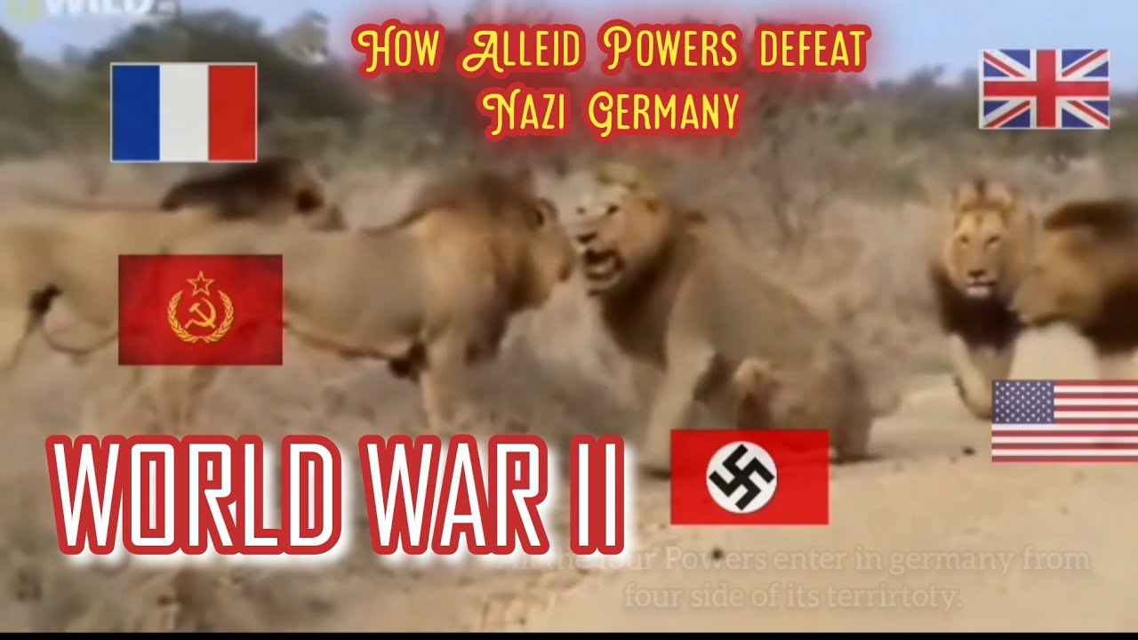 Allied Powers vs. Nazi Germany |World War II | #Worldwar2 #soviet # ...