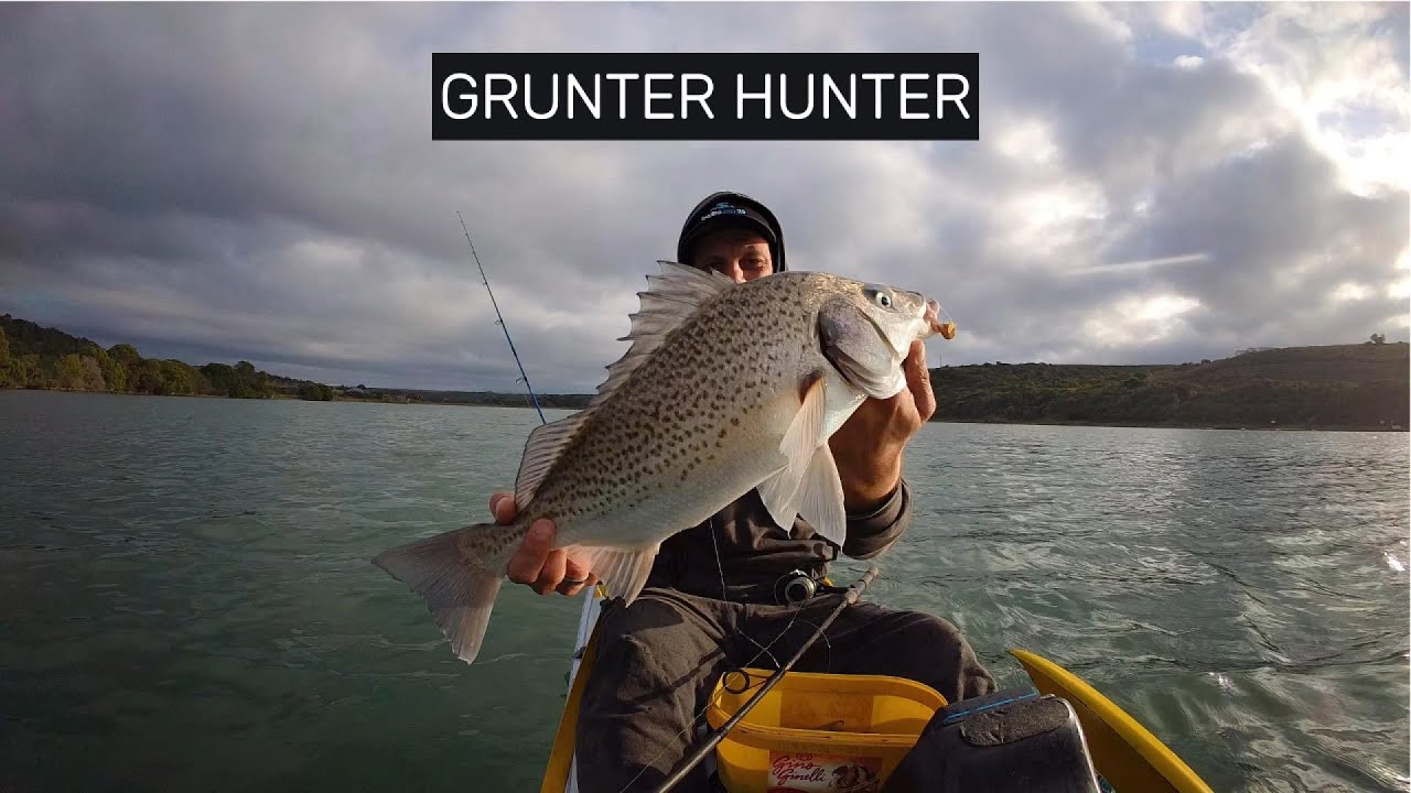 SOLO ADVENTURE Hunting Spotted Grunter - YouTube