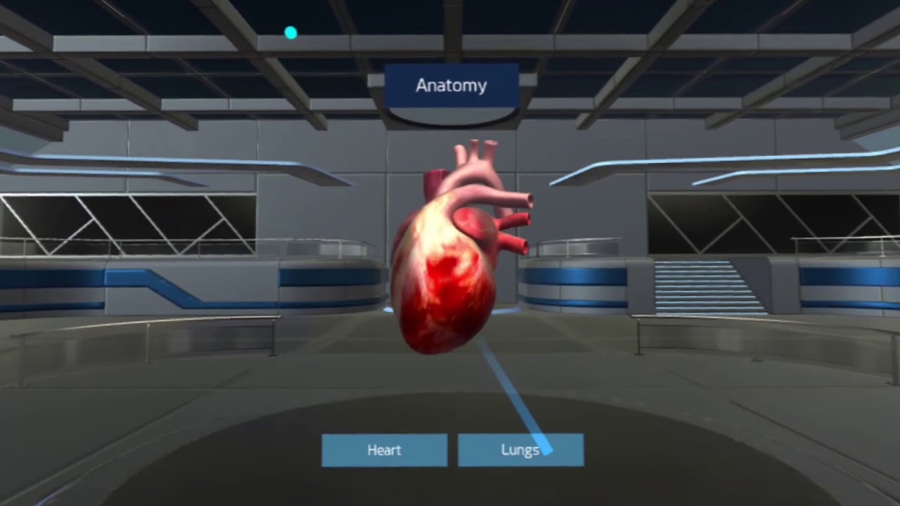 Visible Human Project - Virtual Reality Environment at Carolina Health ...