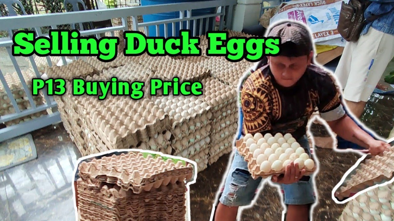 Tara Samahan Nyo aKo Mag Binta ng Itlog Itik - YouTube