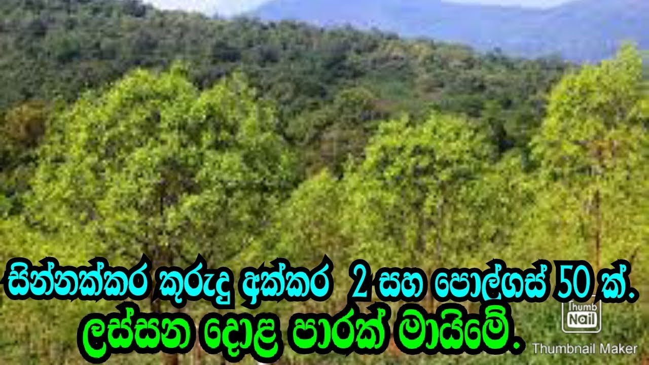 Akkara 2 ka kurudu wagawa saha polgas 50 godak aduwata./ Mathara Land ...