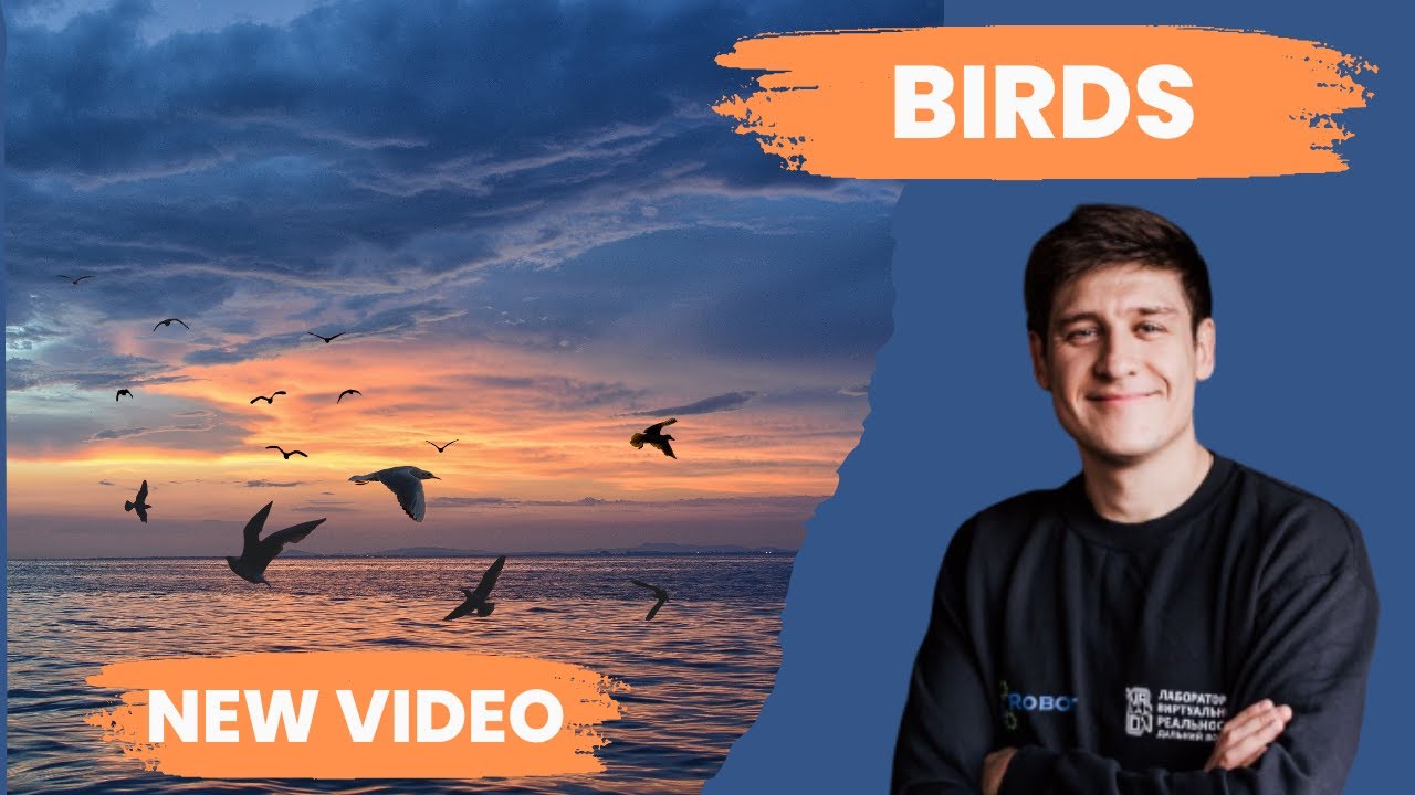 All About Birds: An Introduction to the Fascinating World of ...