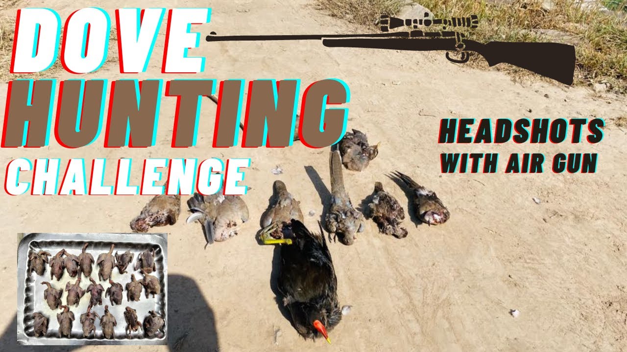 Amazing Flying Birds Hunting With Air Gun | Hunting Season 2022 - YouTube