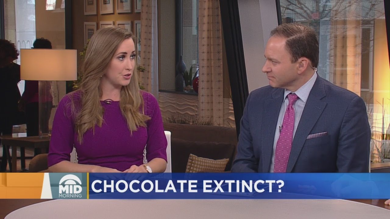 Panel Discussion: Chocolate Going Extinct? - YouTube