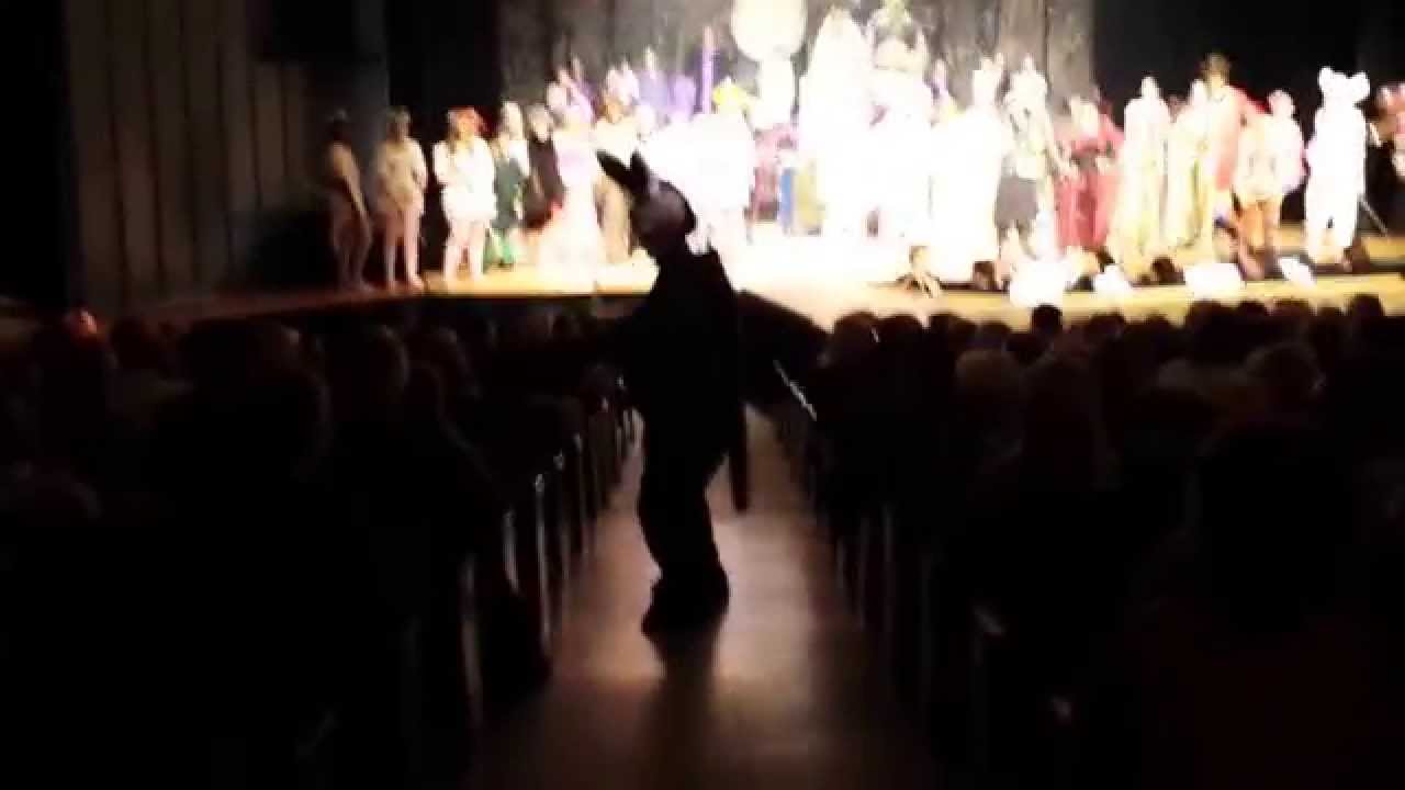 So THIS happened during SHREK opening night... - YouTube