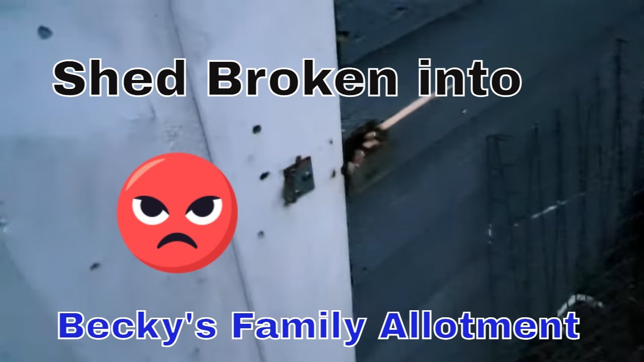 Shed broken into. Break in at the allotment - YouTube