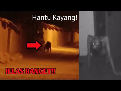 KUNTILANAK BERGENTAYANGAN DAN HANTU KAYANG | 7 PENAMPAKAN HANTU TERJELAS,TERSERAM