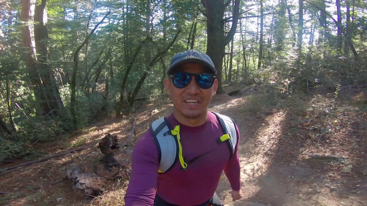 Hiking From Mill Valley To Stinson Beach California Via Dipsea Trail