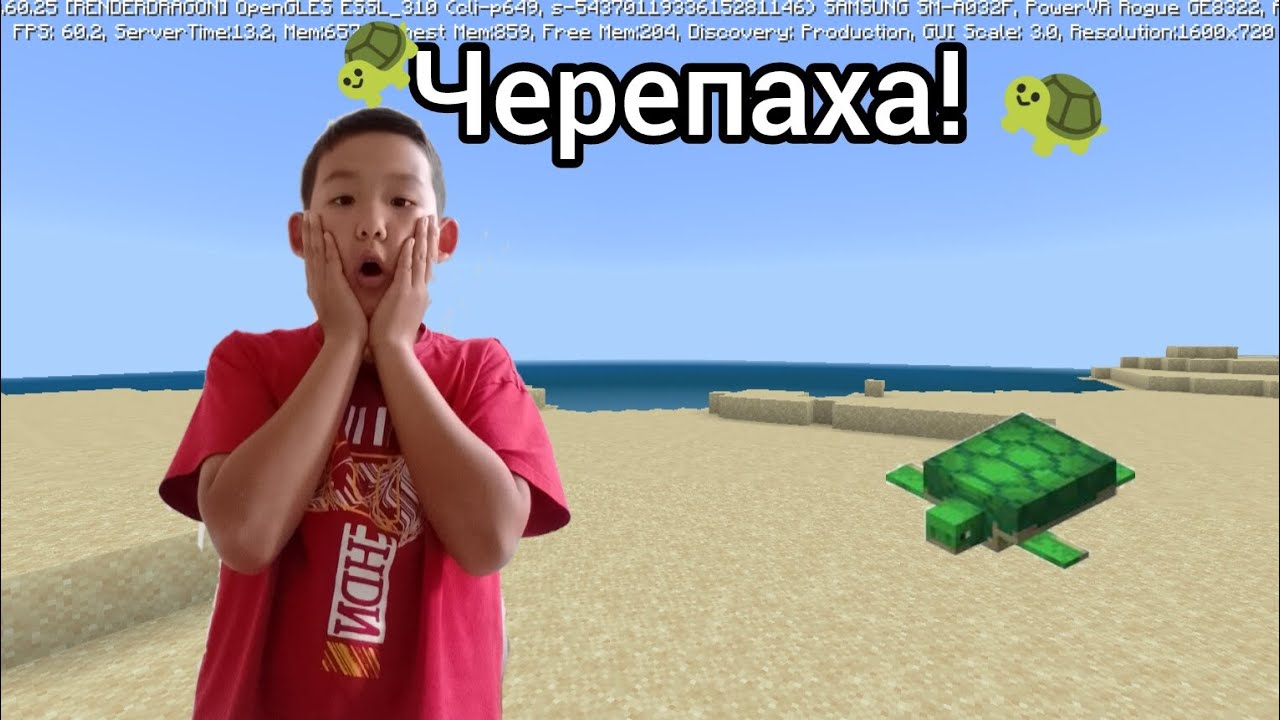 ВПЕРВЫЕ НАШЁЛ ЧЕРЕПАХУ В МАЙНКРАФТ Youtube