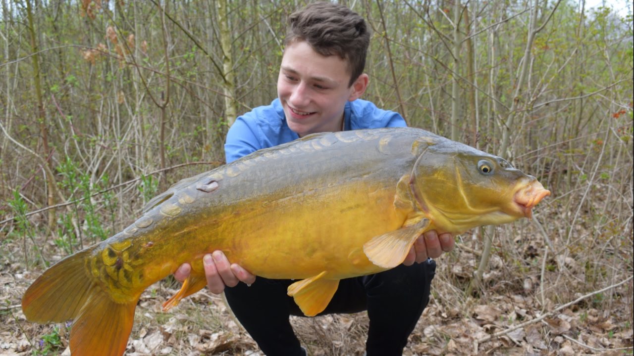 Karpfen angeln im Frühling| CarpTeamTV - YouTube